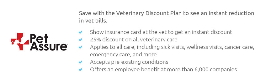 Pre Existing Condition Pet Insurance 🐾 Feb 2025